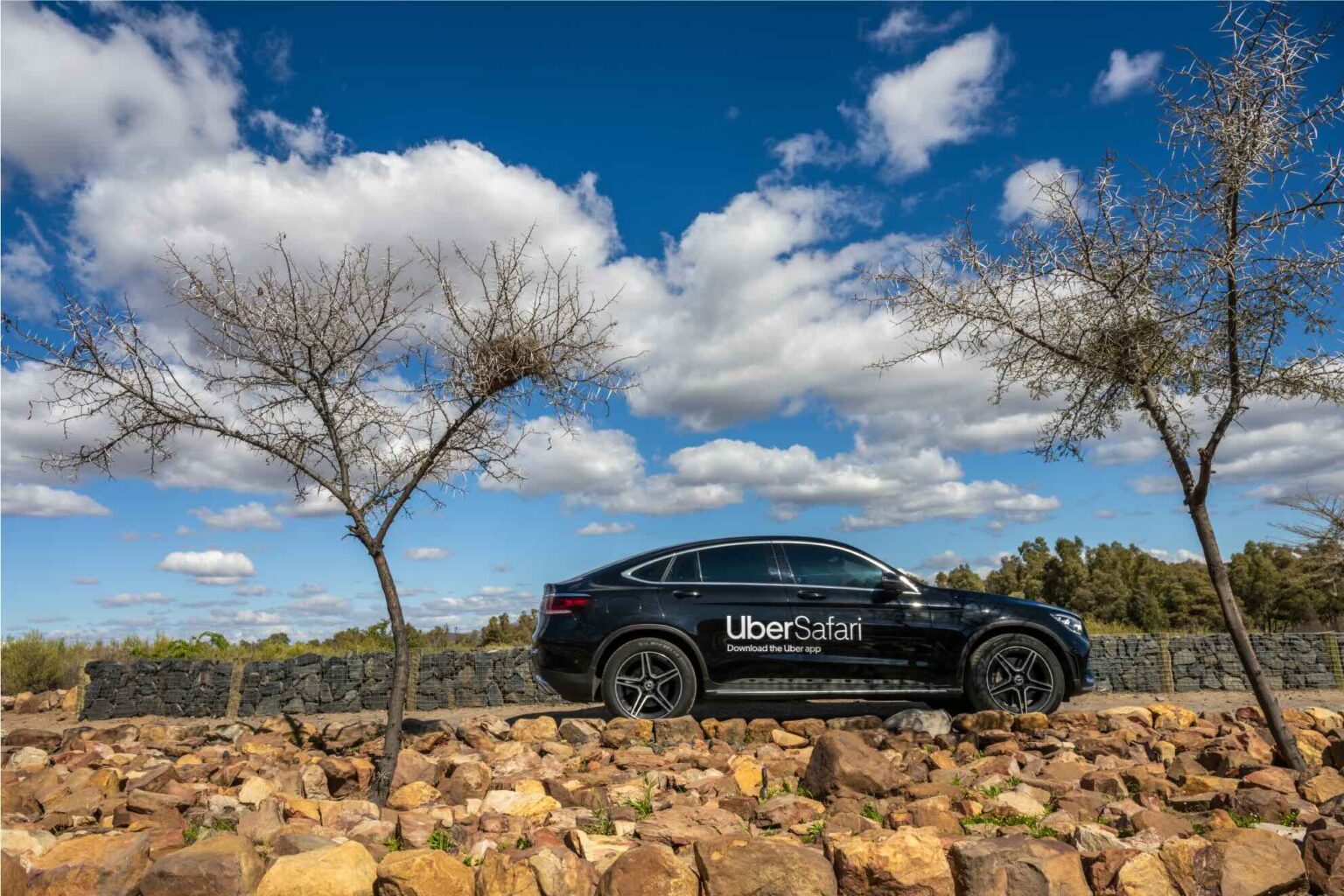 Uber Safari launched in Cape Town